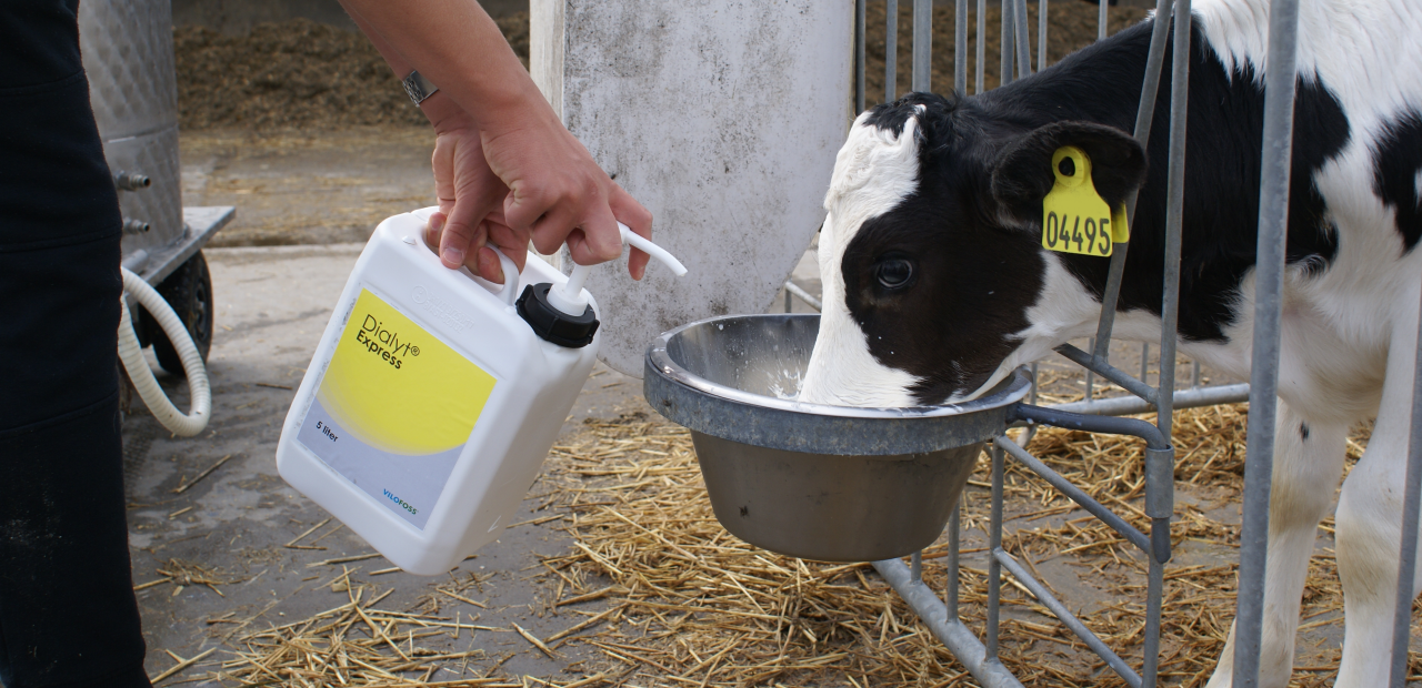 Dialyt Express – efficient, easy and practical new solution - Vilofoss ...