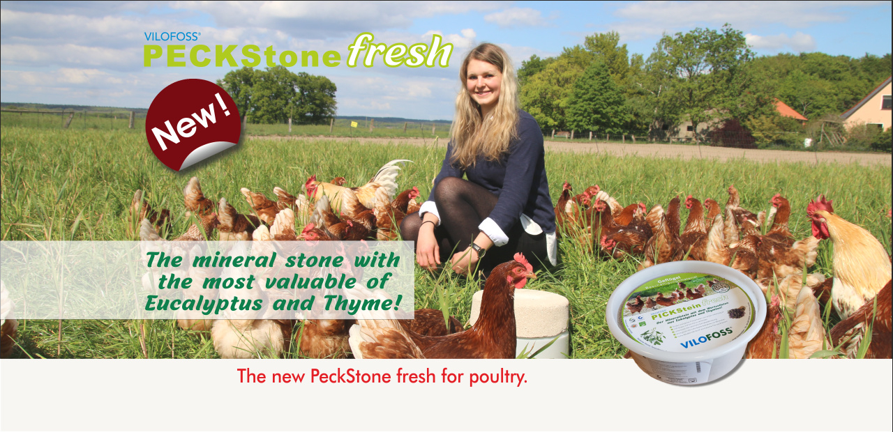 Product launch: Vilofoss® PECKStone fresh - Vilofoss International