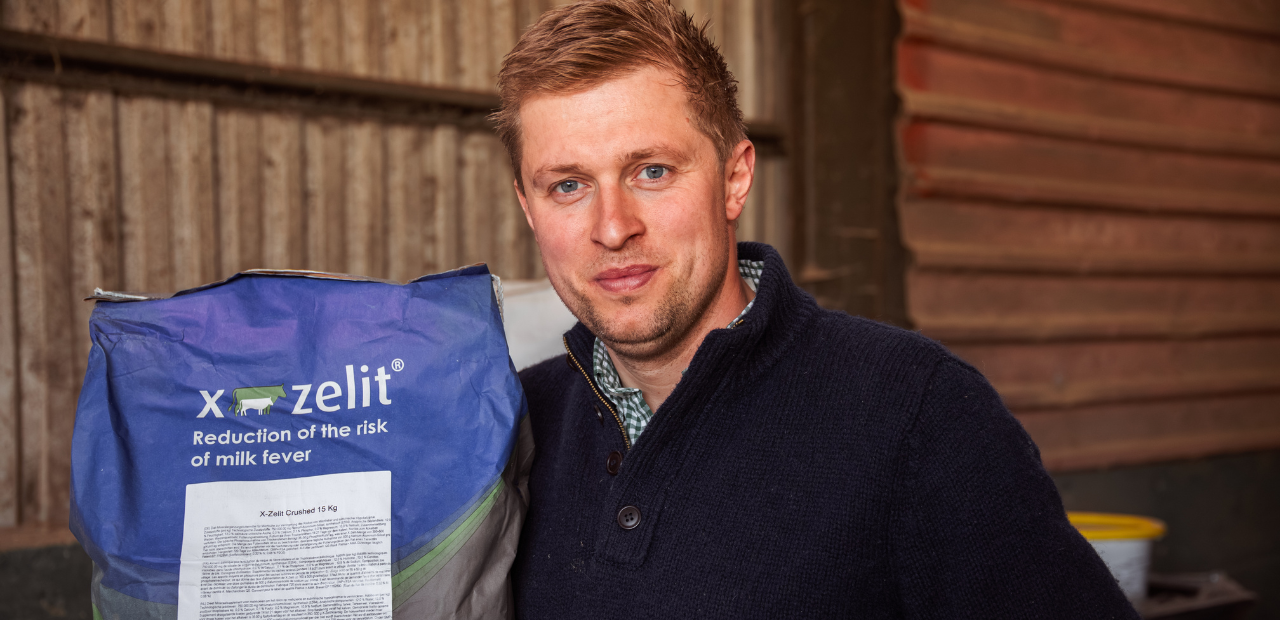 X-Zelit helps reduce milk fever cases on German dairy farm - Vilofoss ...