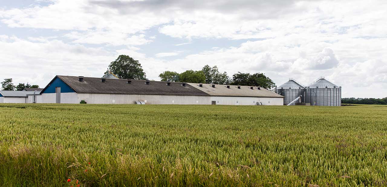 As part of biosecurity Stalosan F is able to reduce antibiotic ...