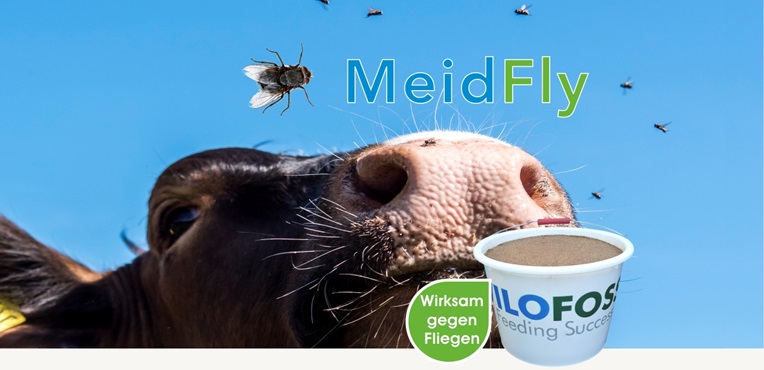 VILOFOSS® Deutschland - Feeding Success - VILOFOSS® Corporate
