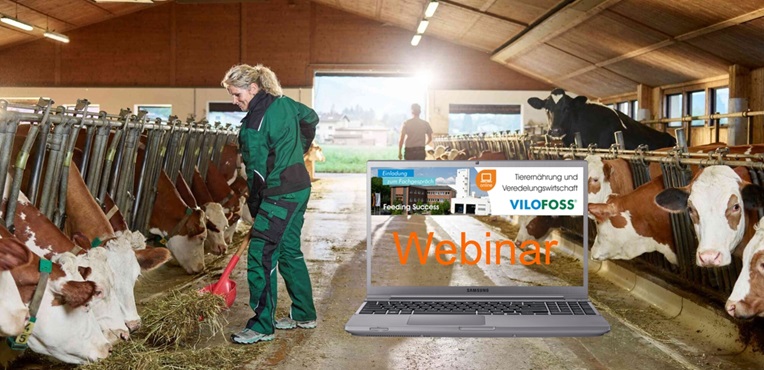 VILOFOSS® Corporate