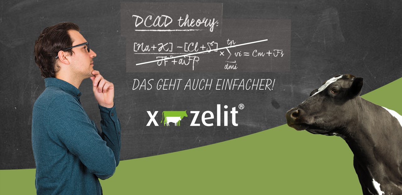 X-Zelit - VILOFOSS® Corporate