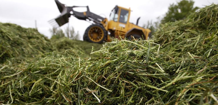 Vilofoss Danmark - Feeding Success - Vilofoss DK