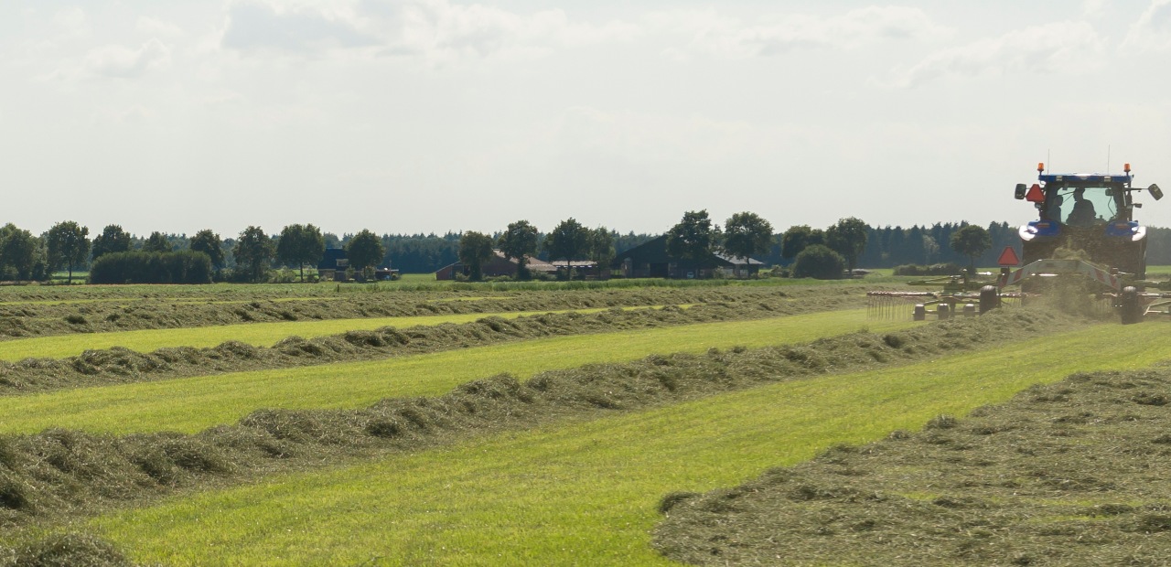 Bien conserver la valeur nutritionnelle de mon ensilage d'herbe ...